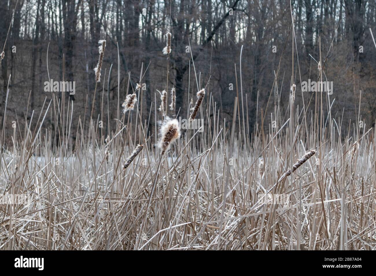 Tail lake hi-res stock photography and images - Alamy