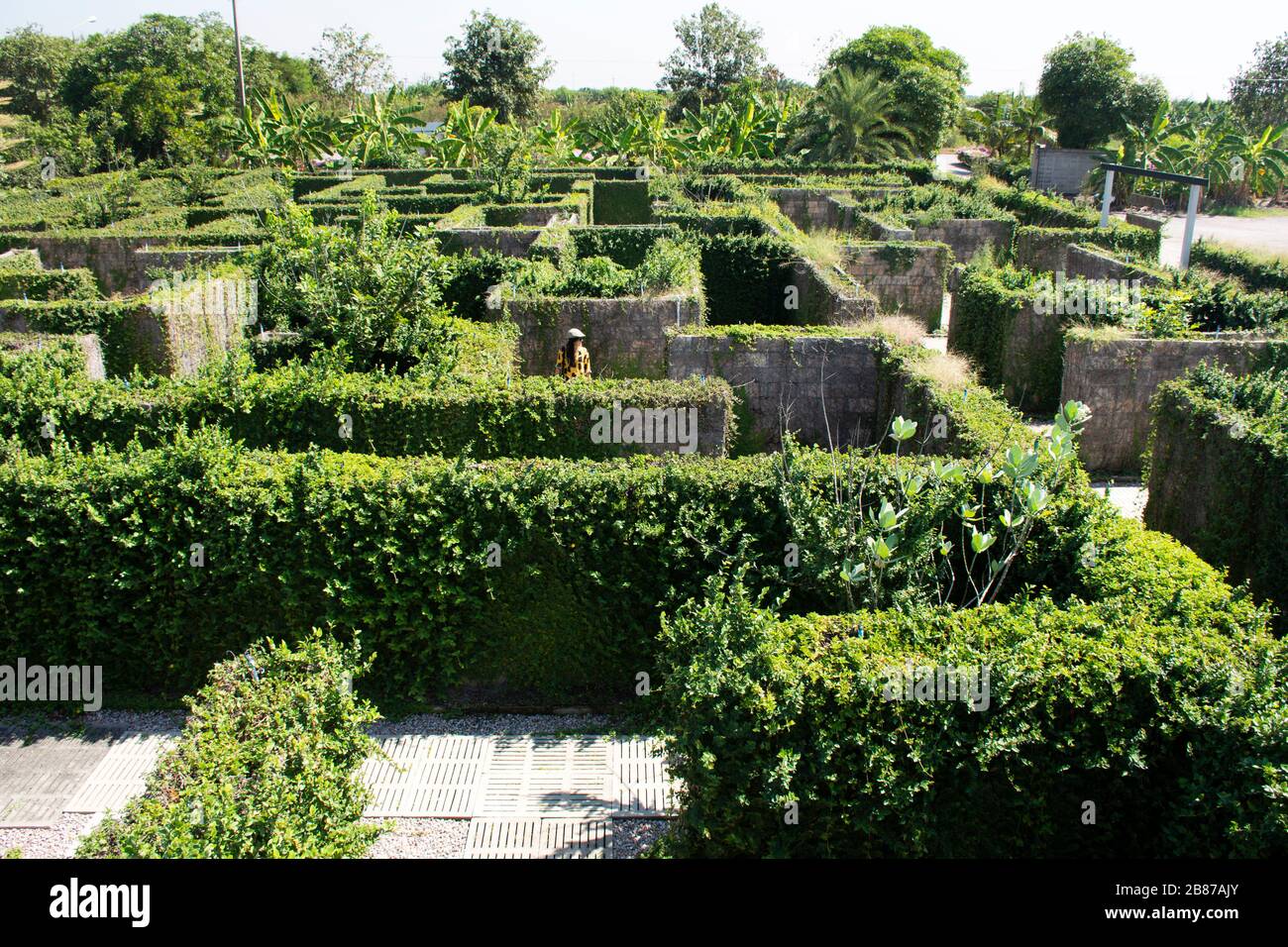 Maze Hedge Pattern Labyrinth High Resolution Stock Photography and ...