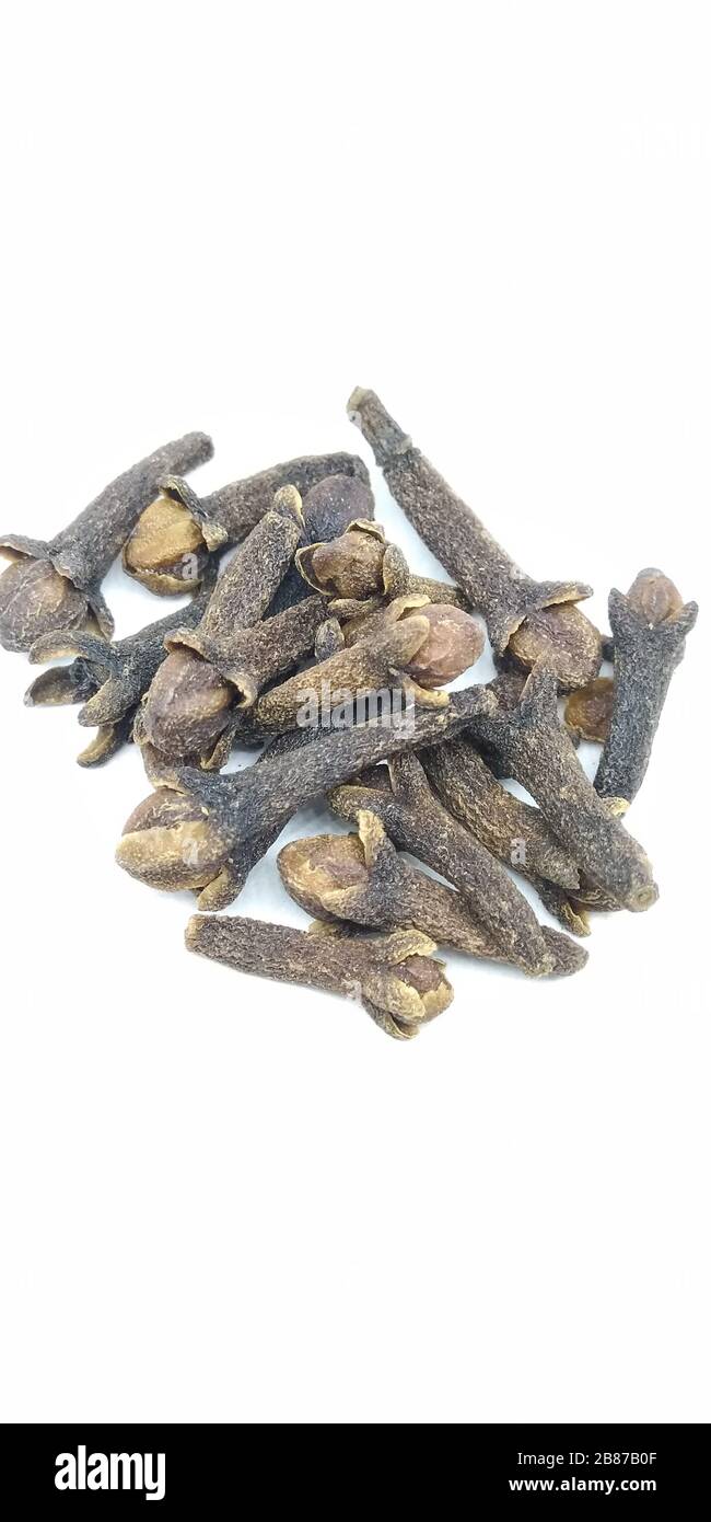 A picture of bud Cut Out Stock Images & Pictures - Alamy