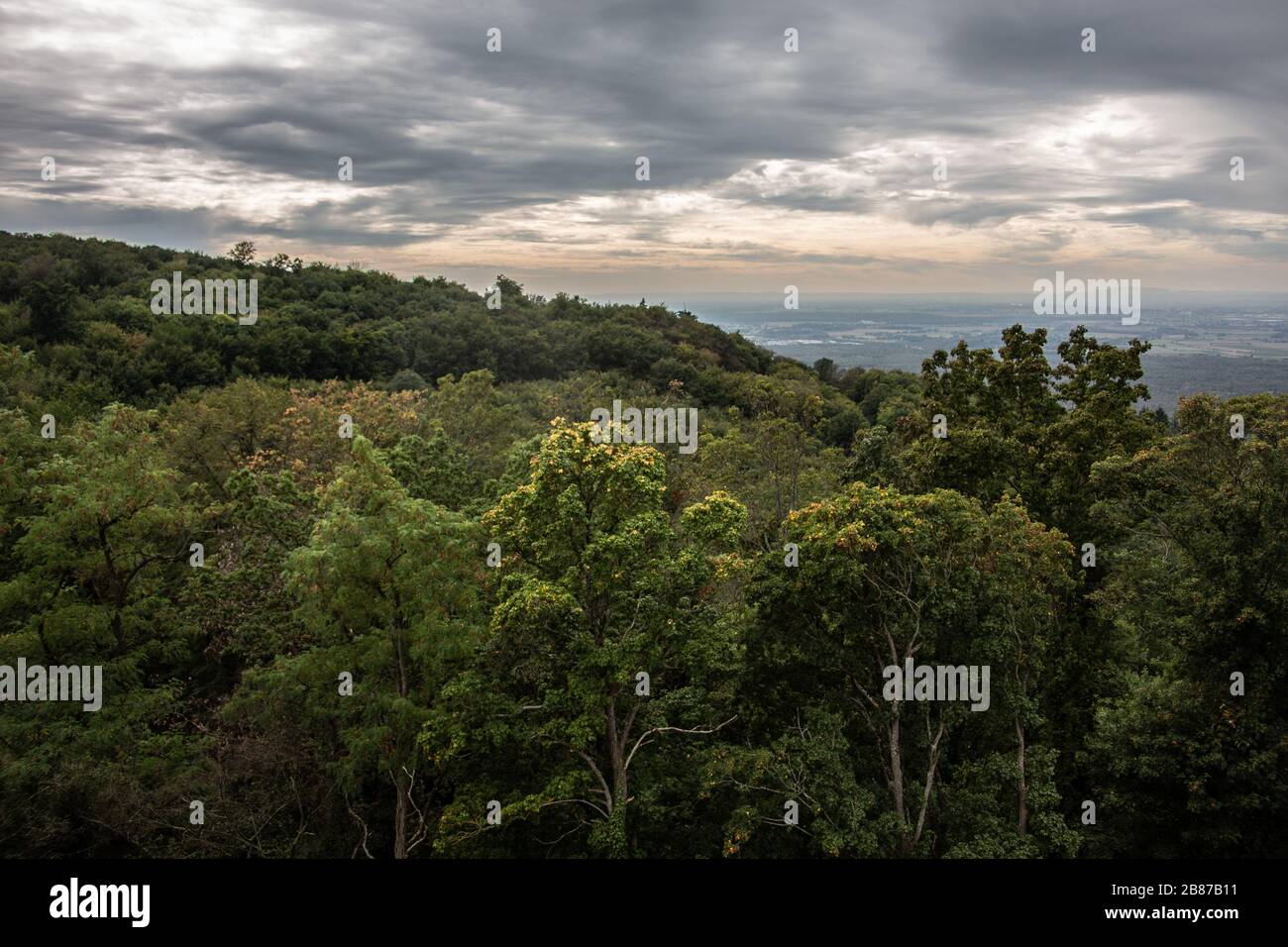 Frankenstein castle hi-res stock photography and images - Alamy