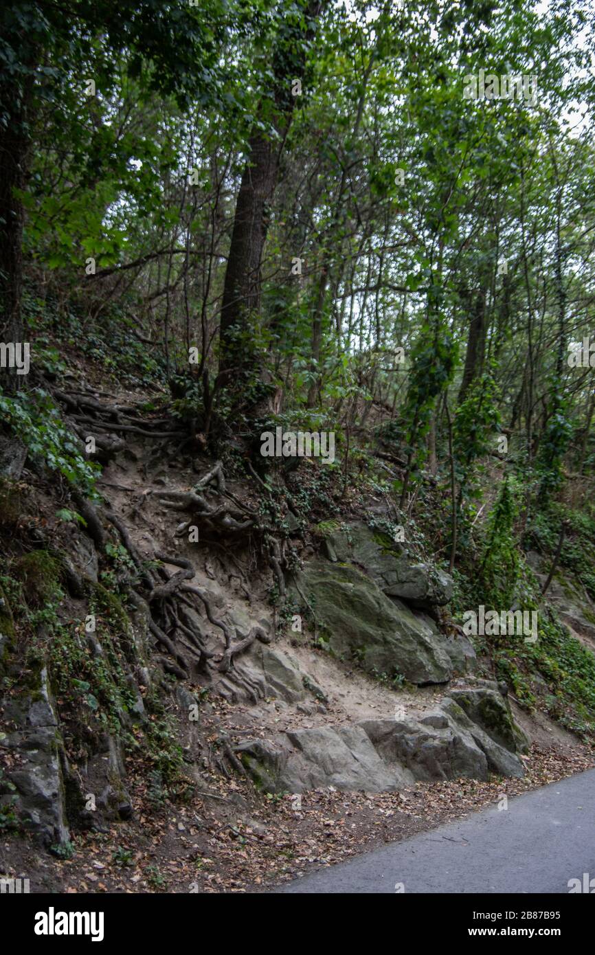 Frankenstein castle hi-res stock photography and images - Alamy