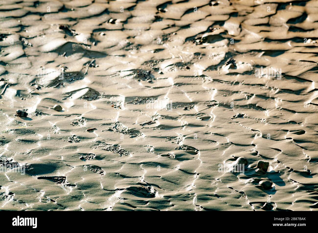 Therapeutic mud bath, natural texture and mud pattern. There are ...