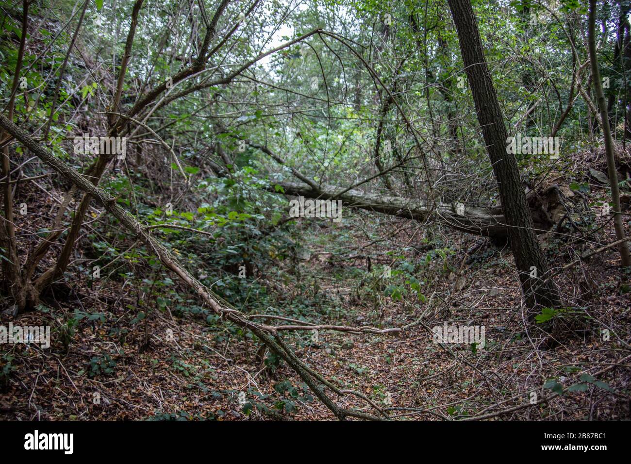 Frankenstein landscape hi-res stock photography and images - Alamy