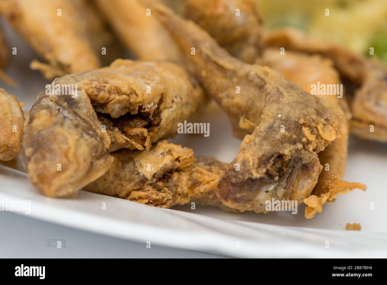 Scad head detail hi-res stock photography and images - Alamy
