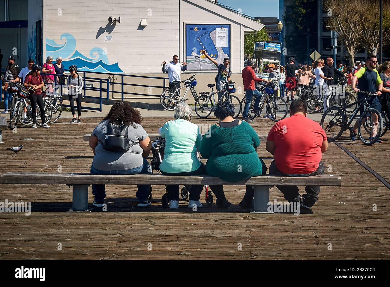 Overweight individuals sitting on a bench at Point North near Pier 41 ...