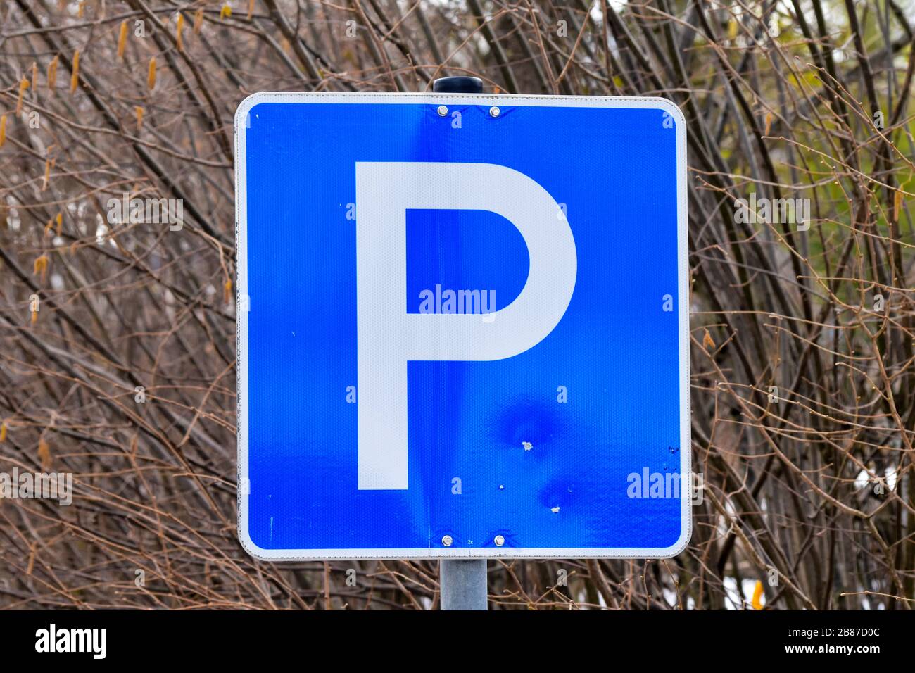 Car parking sign - Blue roadsign with letter P Stock Photo - Alamy