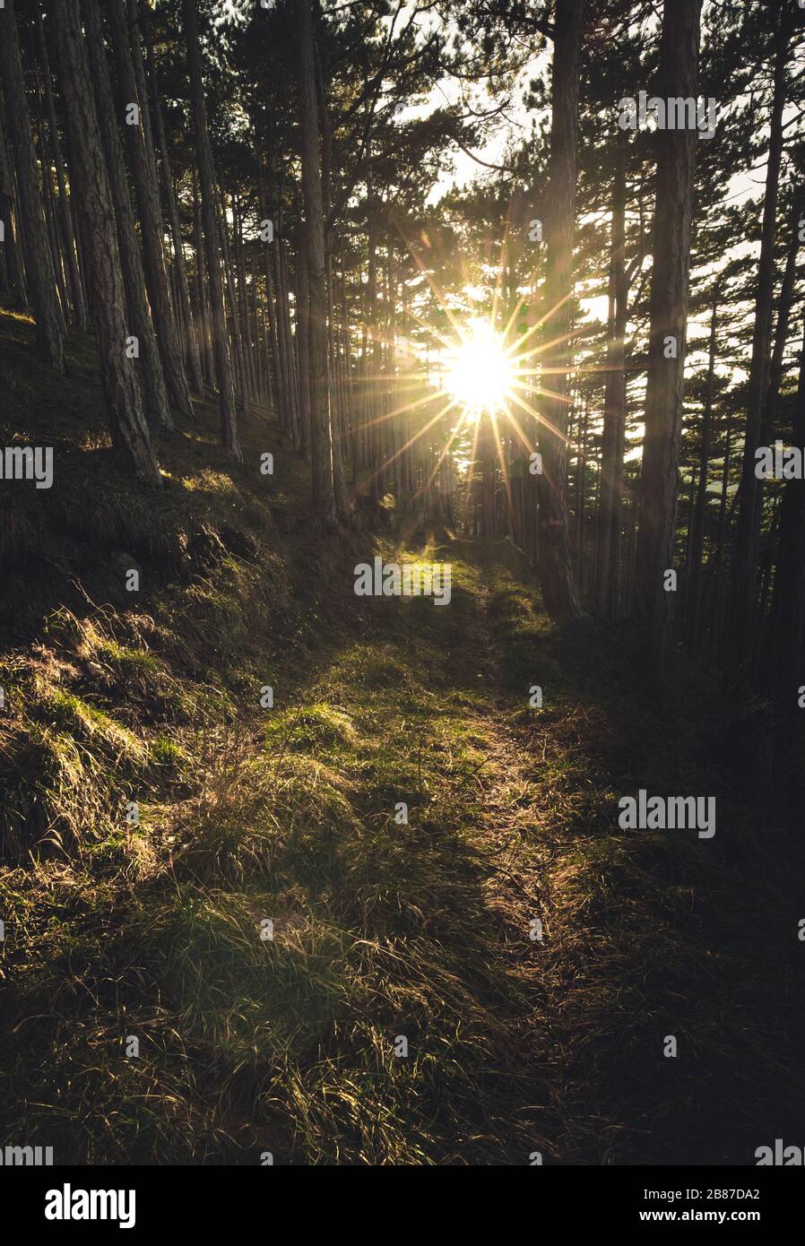 Light rays beam on black hi-res stock photography and images - Alamy