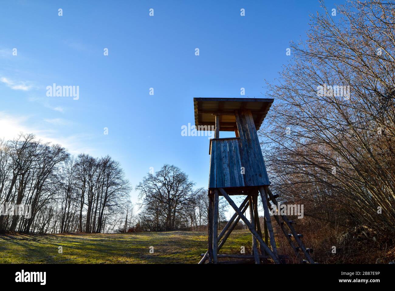 Observation platform forest hi-res stock photography and images - Alamy