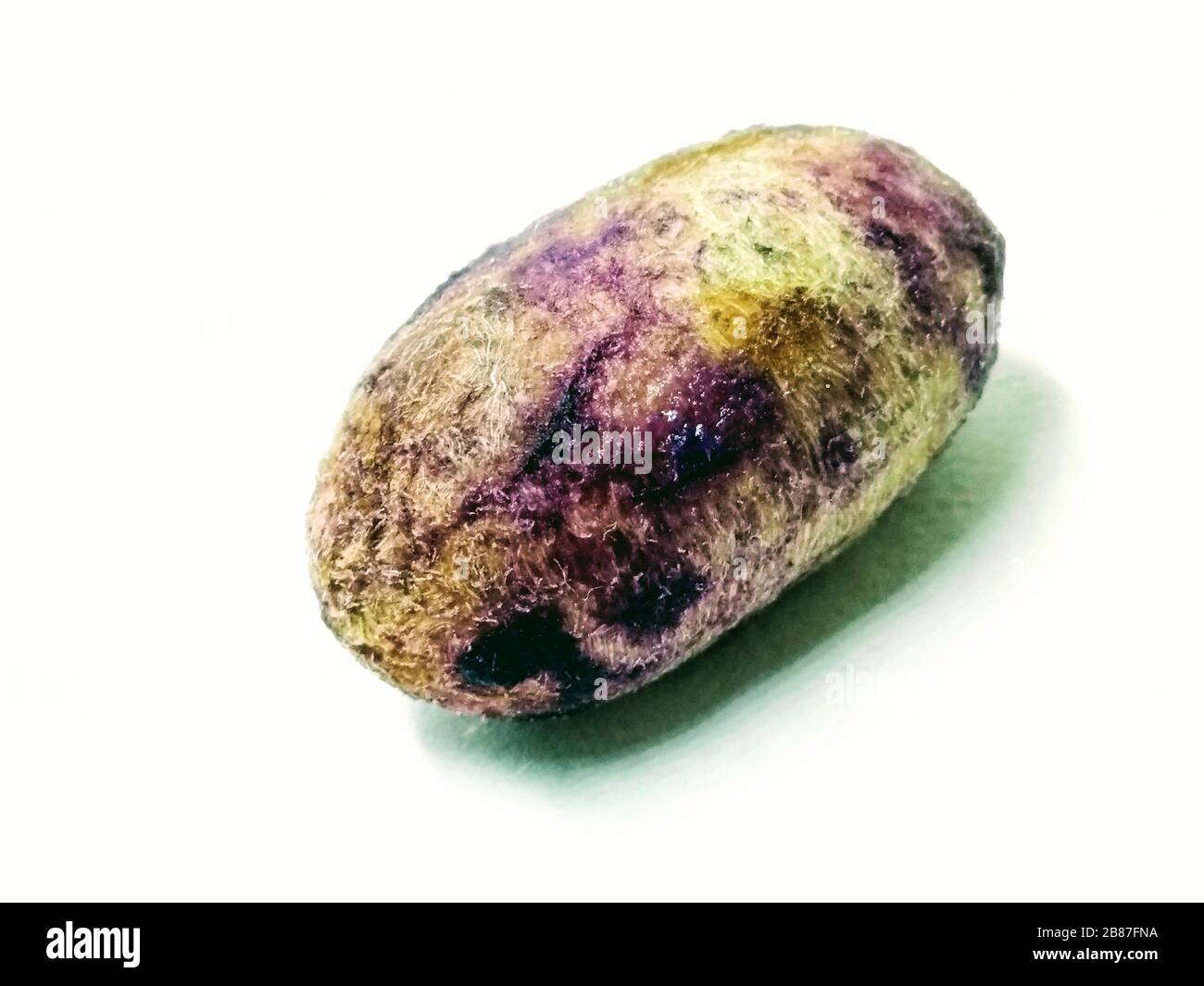 A picture of blackberry seeds Stock Photo - Alamy