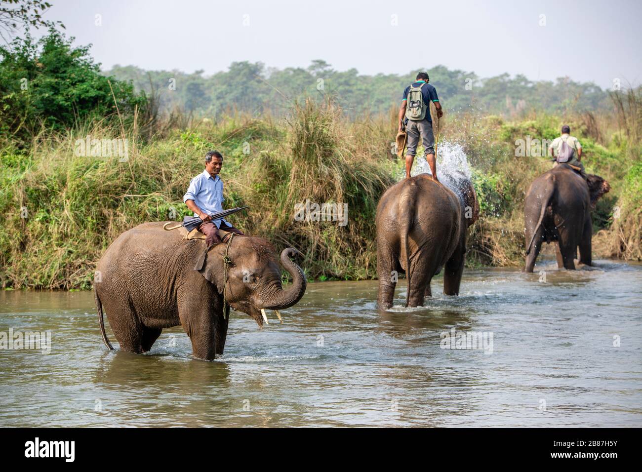 Trekking in jungle chitwan hi-res stock photography and images - Alamy