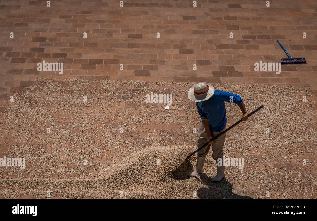 Moving coffee beans hi-res stock photography and images - Alamy