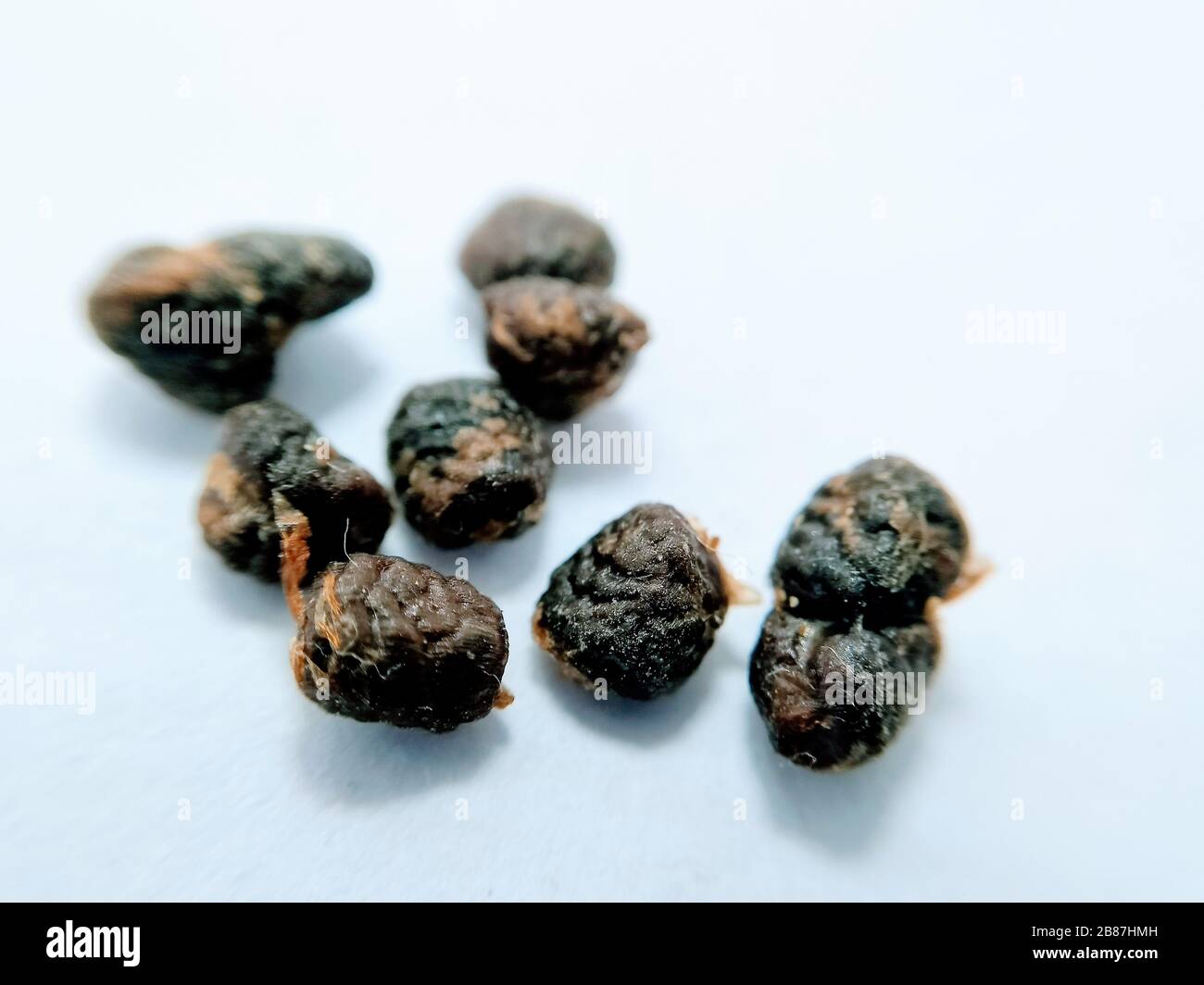 A picture of black seeds Stock Photo - Alamy
