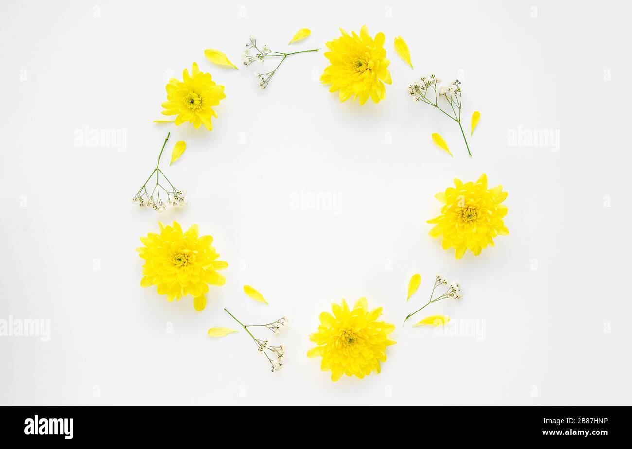 Round shape flowers hi-res stock photography and images - Alamy