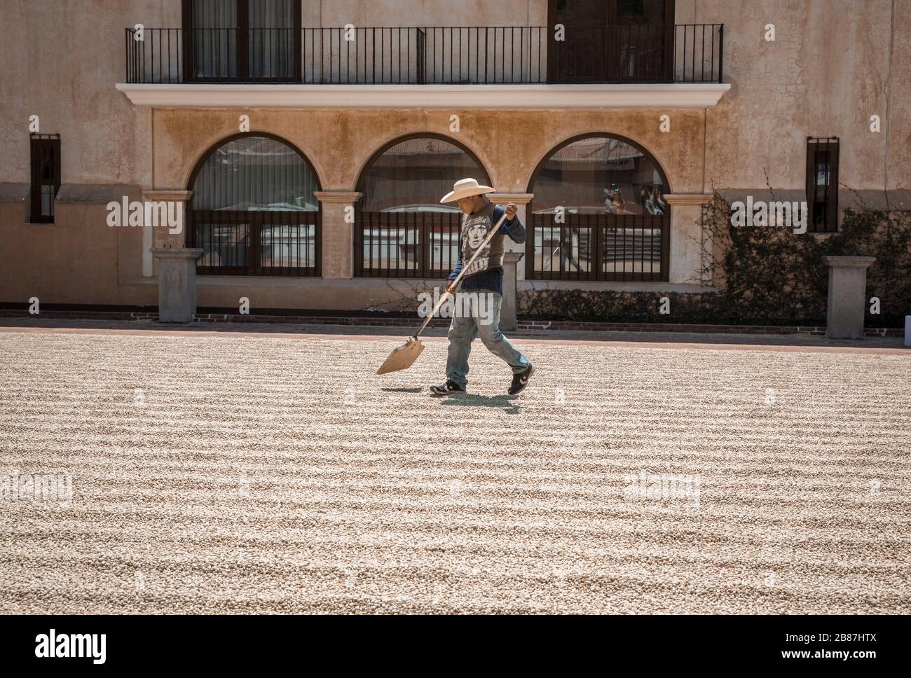 Moving coffee beans hi-res stock photography and images - Alamy