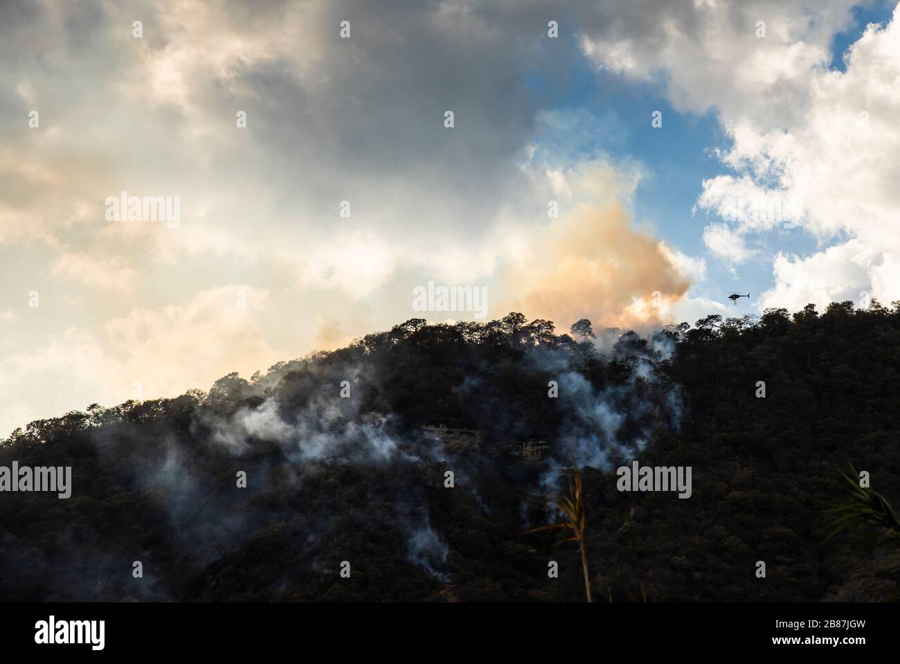 helicopter hovering over forest fire, dropping water into the flames ...