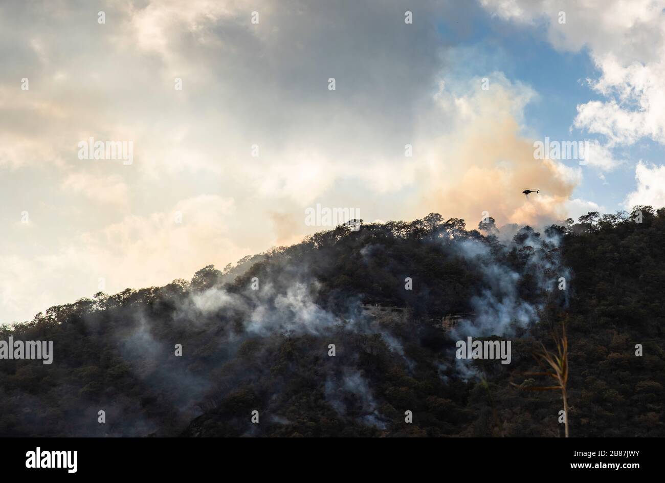 helicopter hovering over forest fire, dropping water into the flames ...