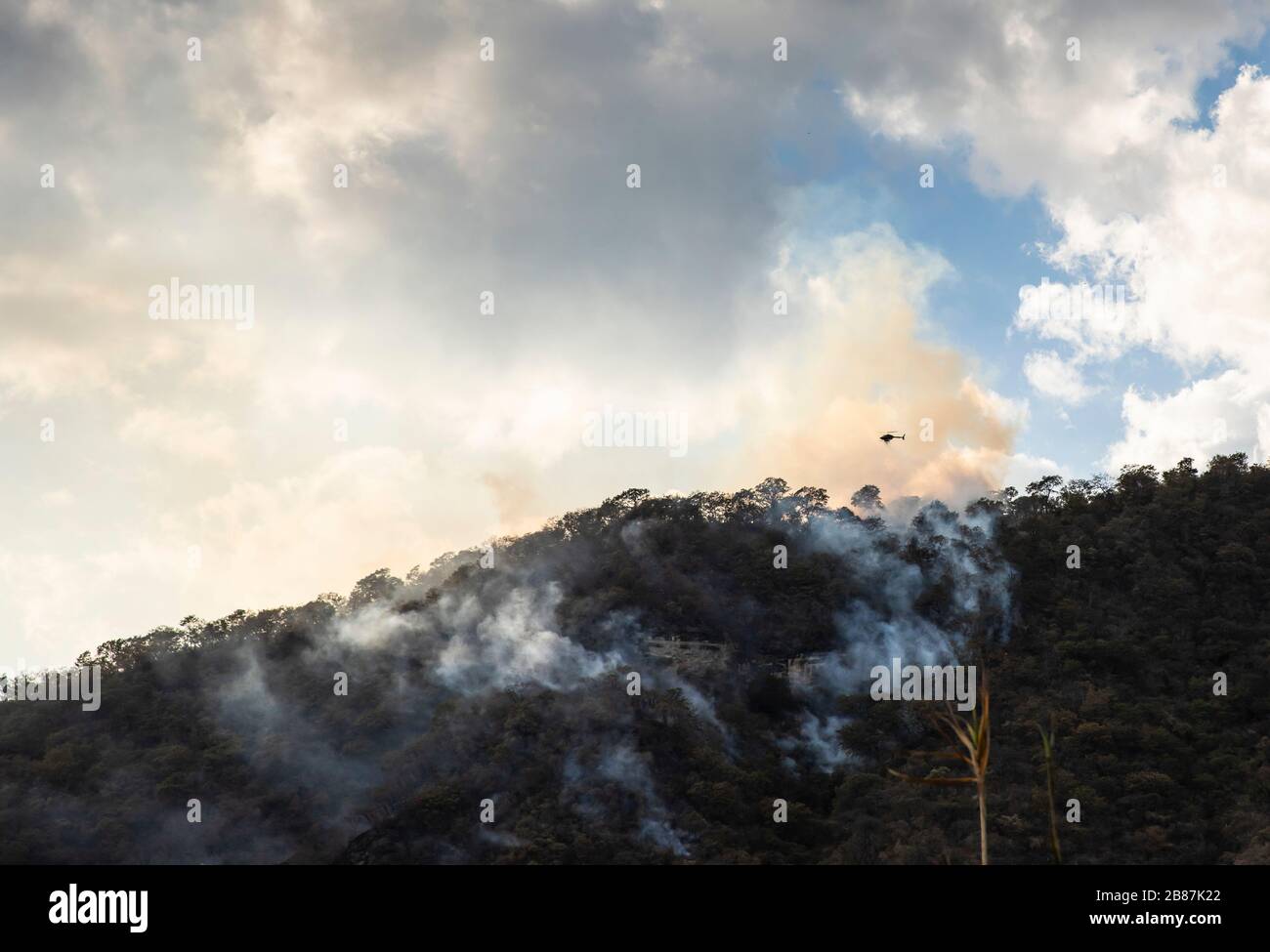 helicopter hovering over forest fire, dropping water into the flames ...