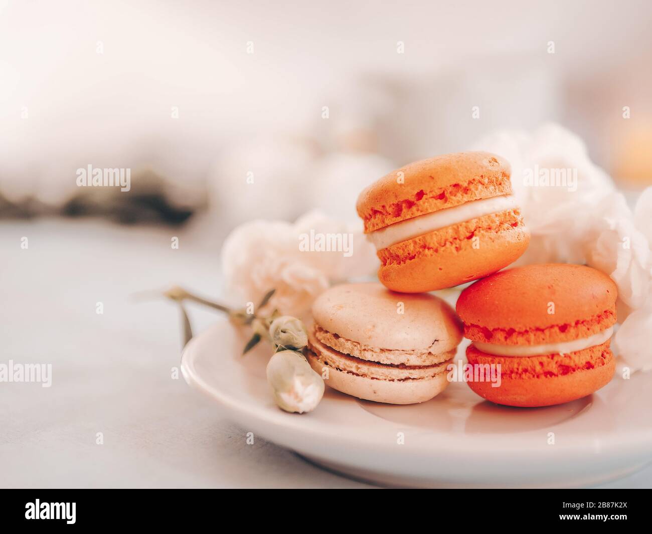 French macaroon cakes. Macaroons on a white plate with flowers on gray ...