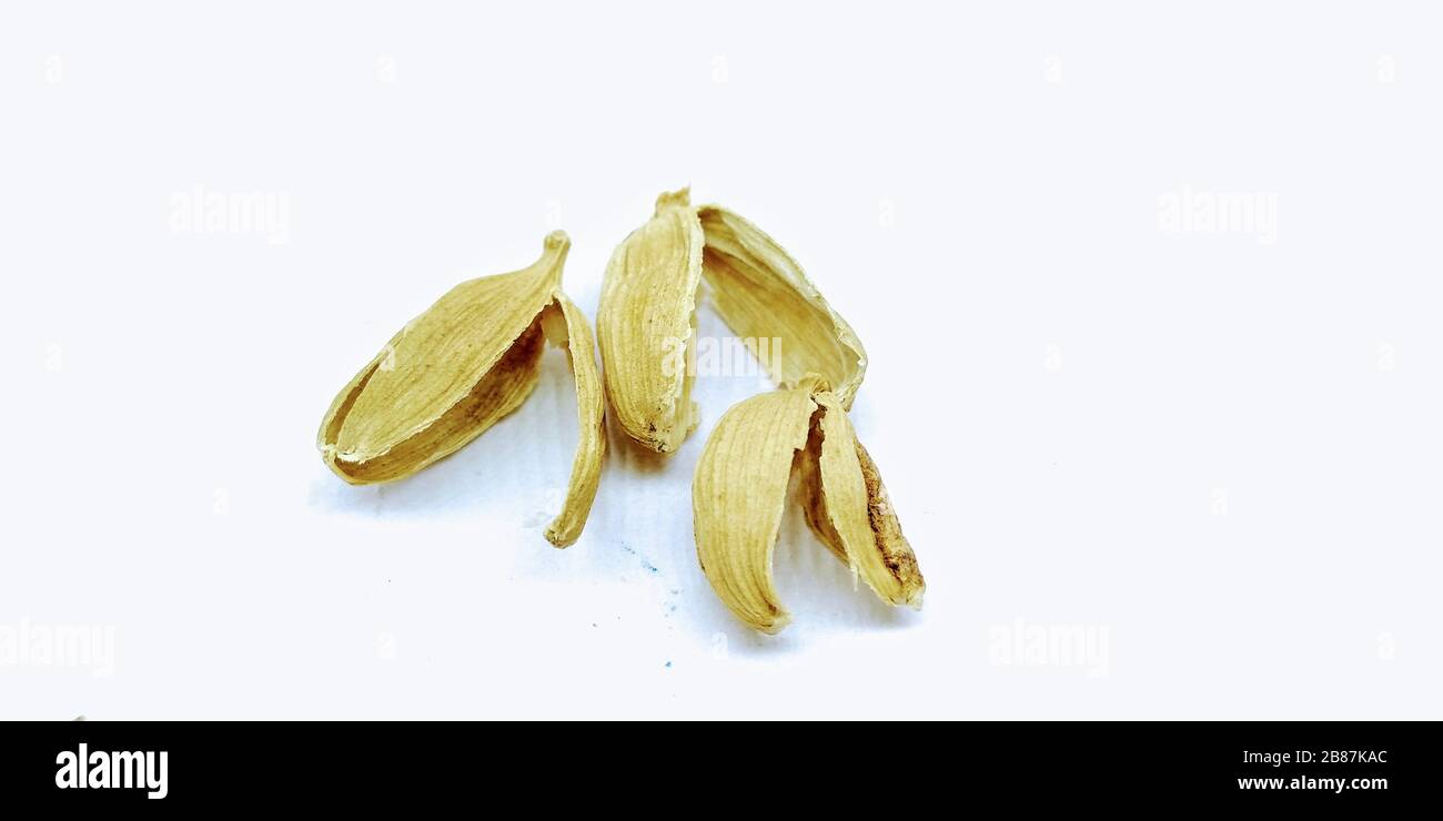 A picture of cardamom Stock Photo - Alamy
