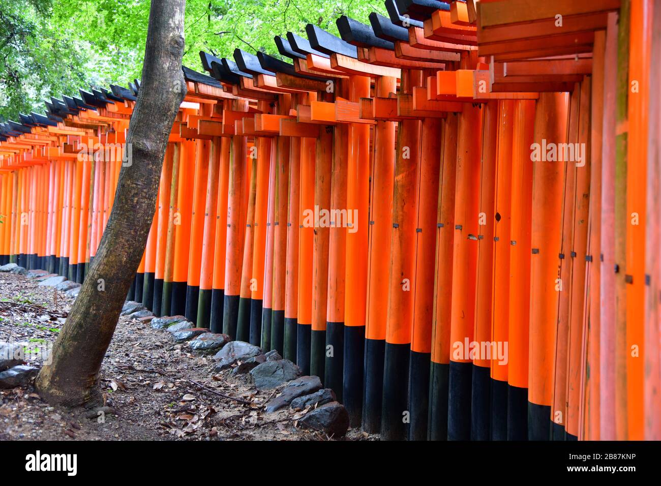 Kyoto, Japan – October 2019: Torri gates at Fushimi Inari Shrine in ...