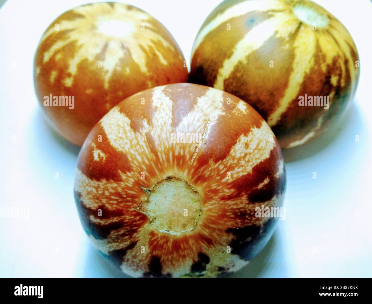 A picture of Muskmelon Stock Photo - Alamy
