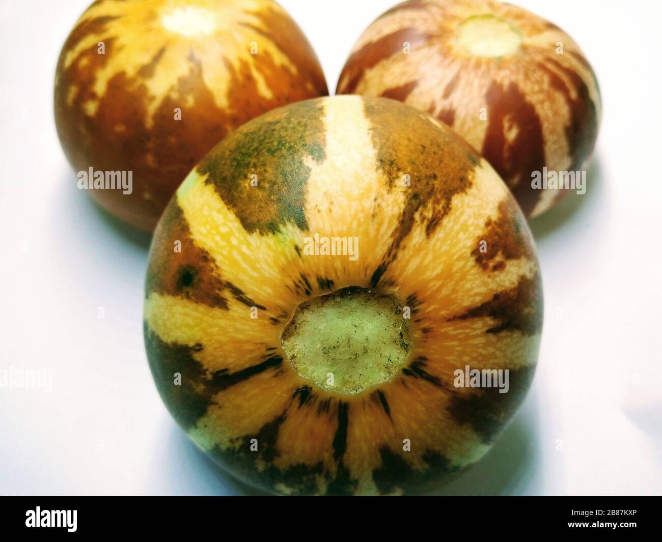 A picture of Muskmelon Stock Photo - Alamy