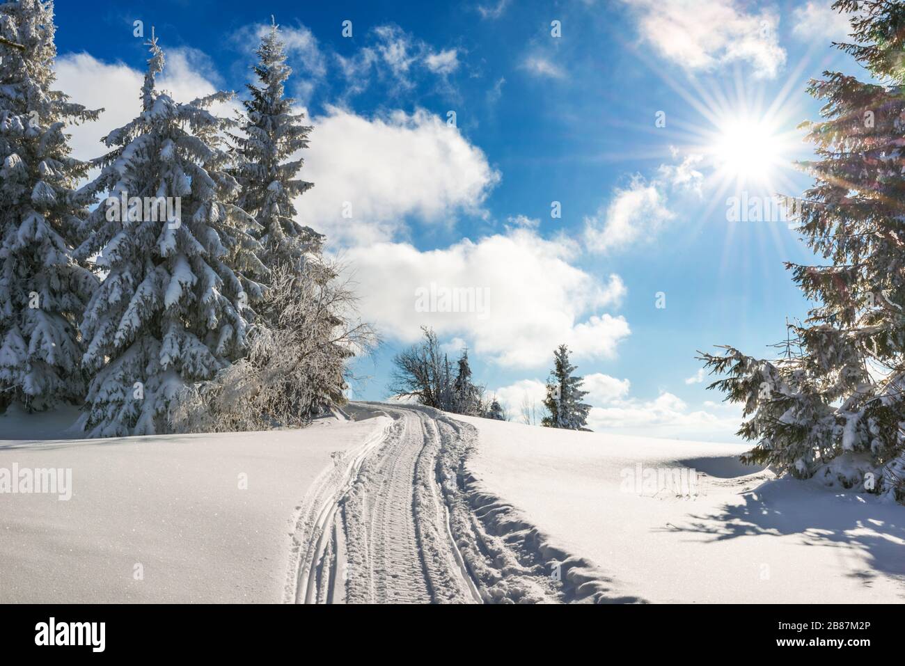 Stunning and picturesque landscape of trodden winter paths on a snowy ...