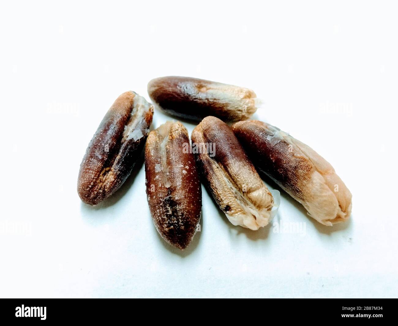 A picture of date seeds Stock Photo - Alamy