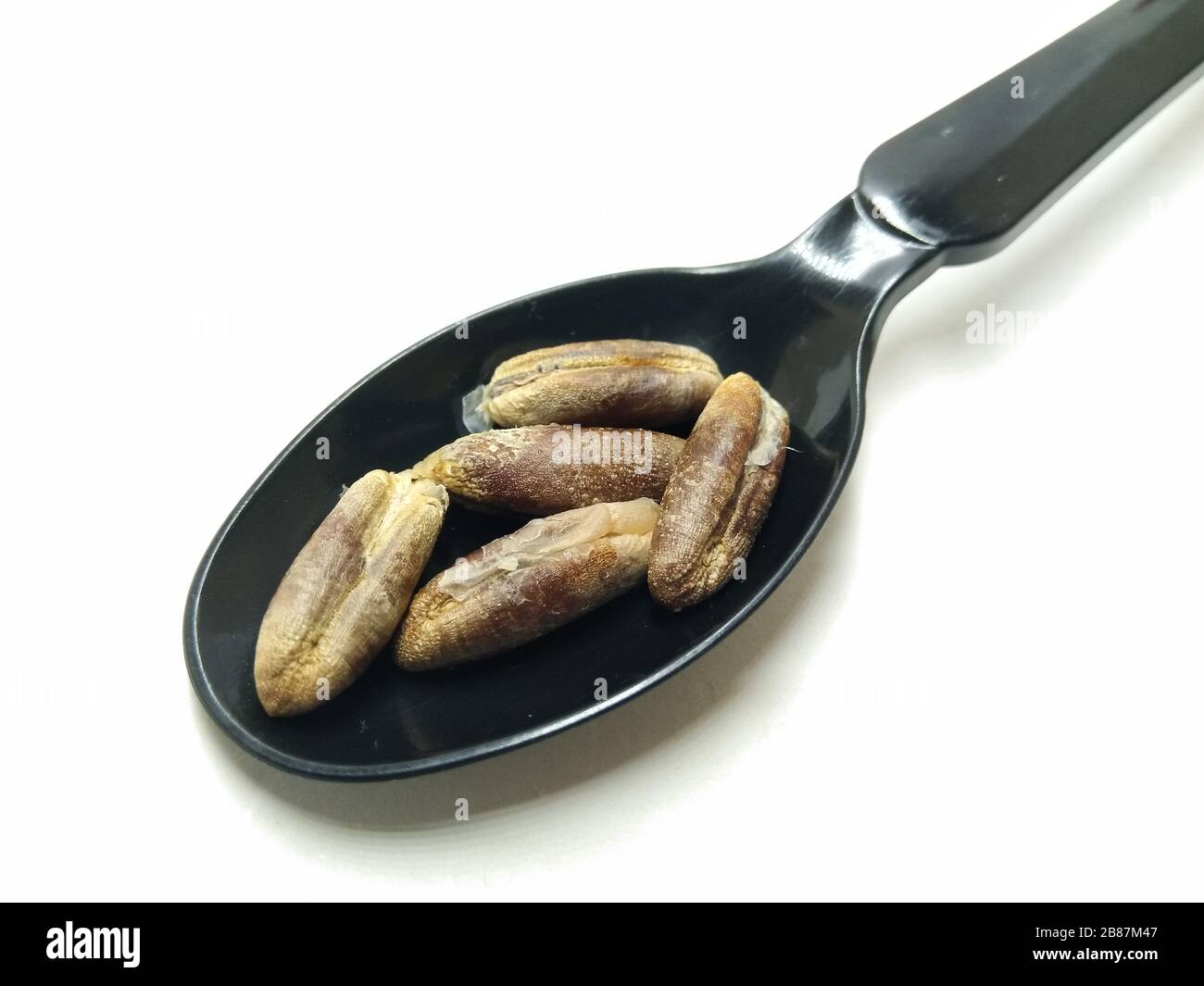 Date palm seed hi-res stock photography and images - Alamy