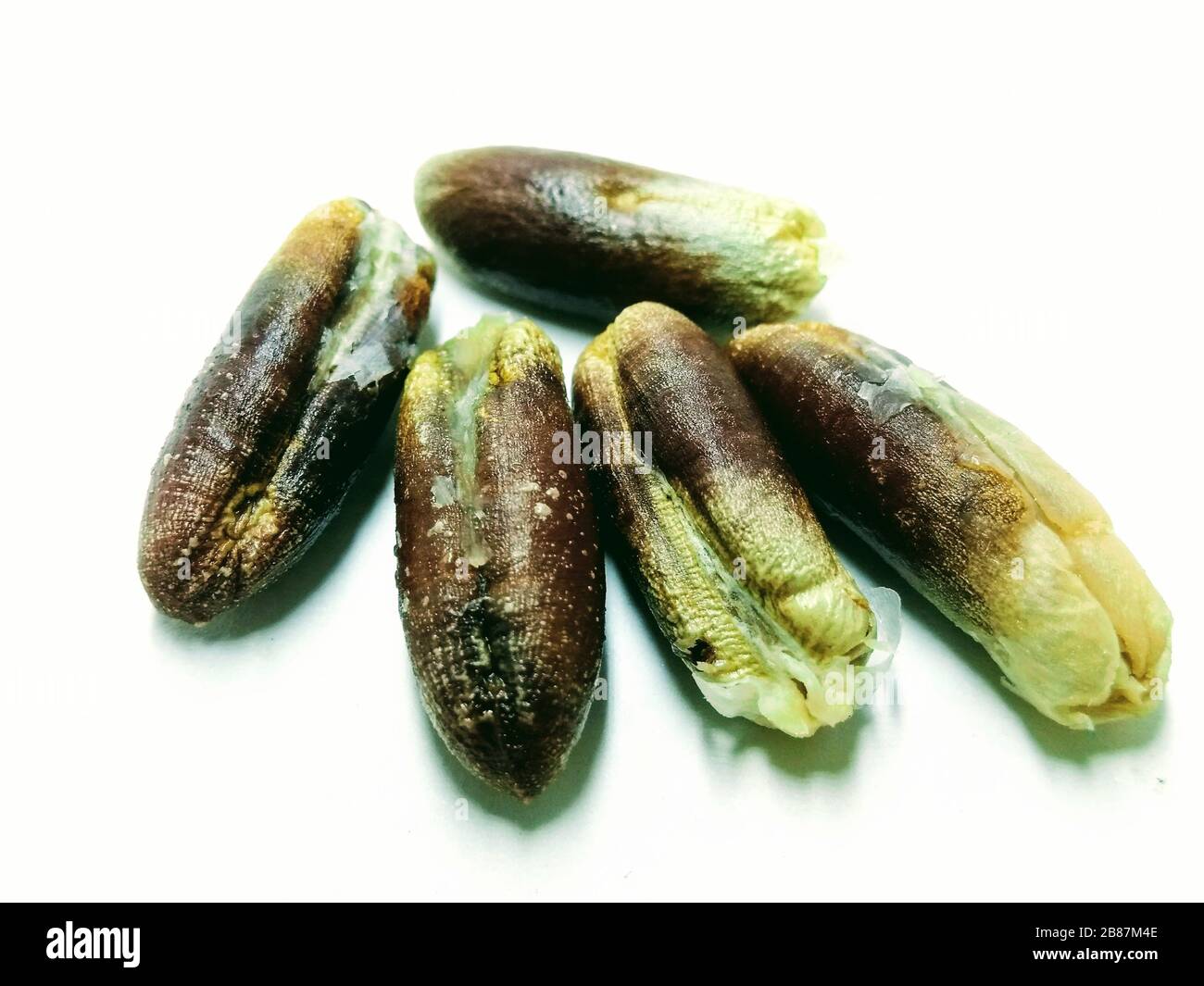 A picture of date seeds Stock Photo - Alamy