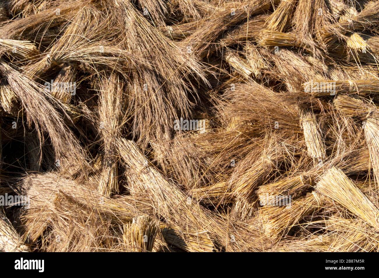 Thatch Thatched Thatching High Resolution Stock Photography and Images ...