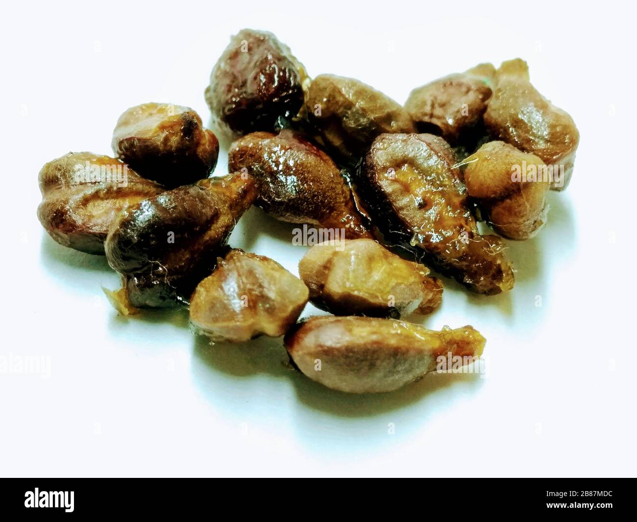 Seeds nature hi-res stock photography and images - Alamy