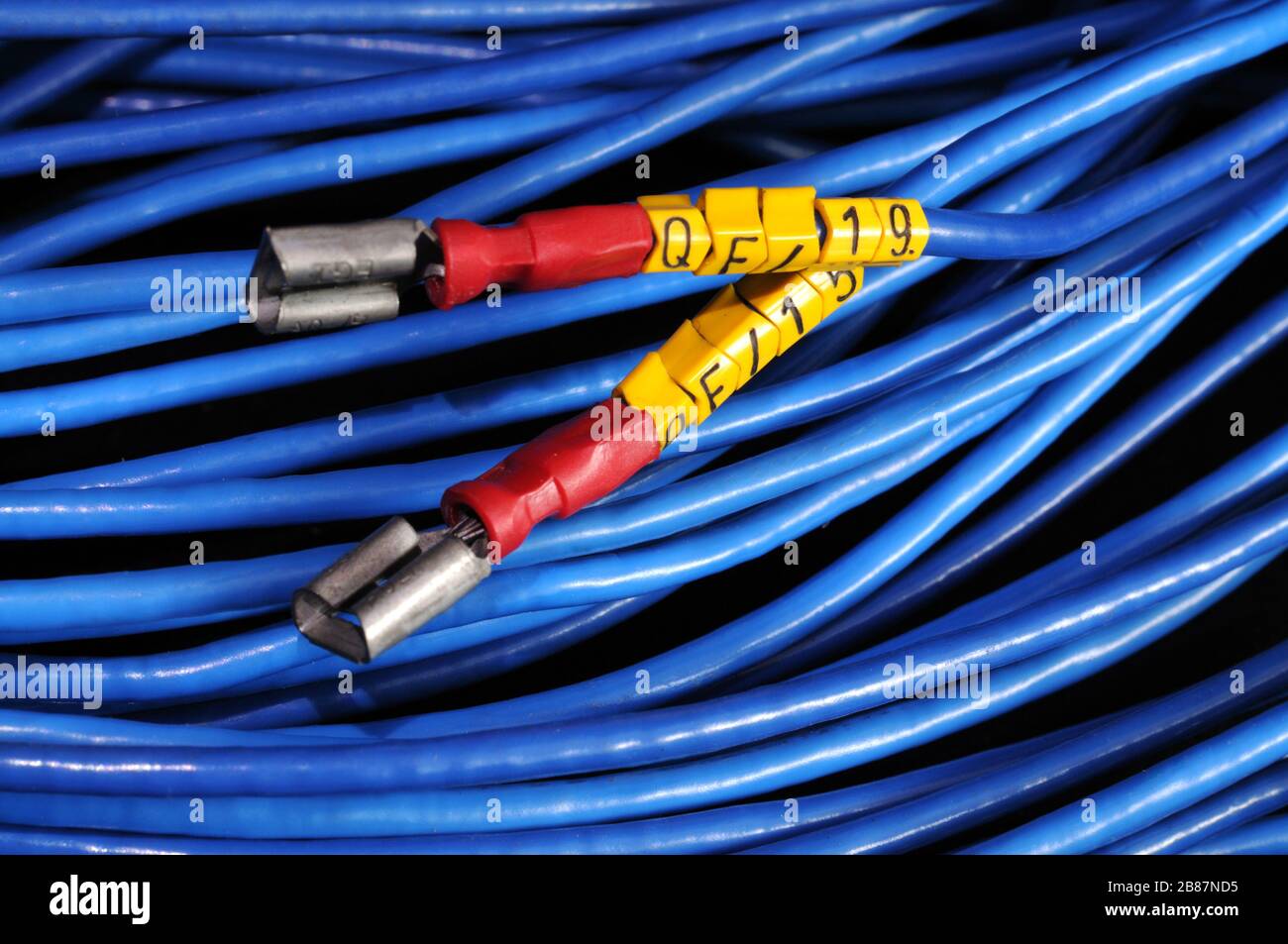 Close-up of a bundle of cut wires with metal connections sticking out ...