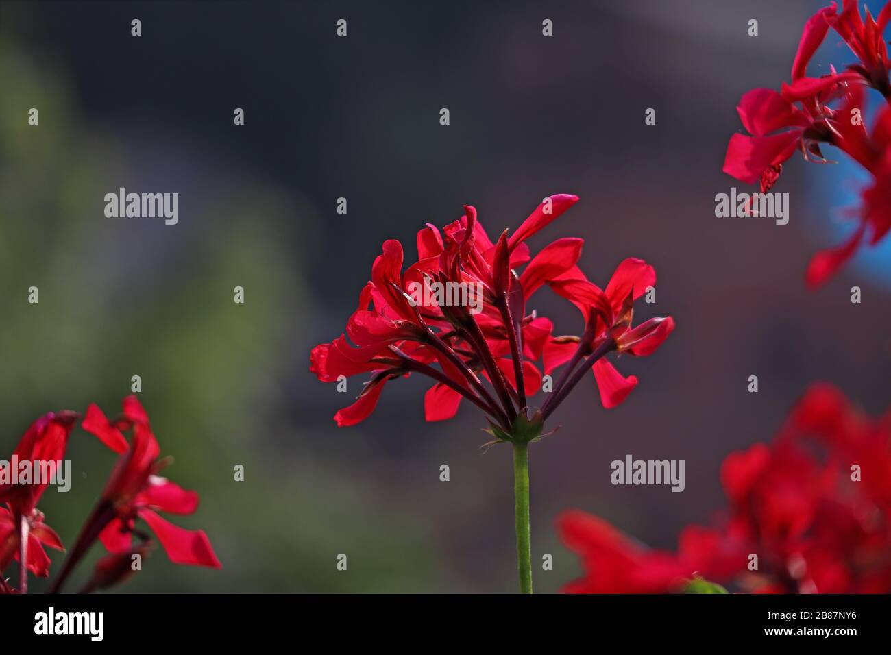 Red fountains hi-res stock photography and images - Alamy