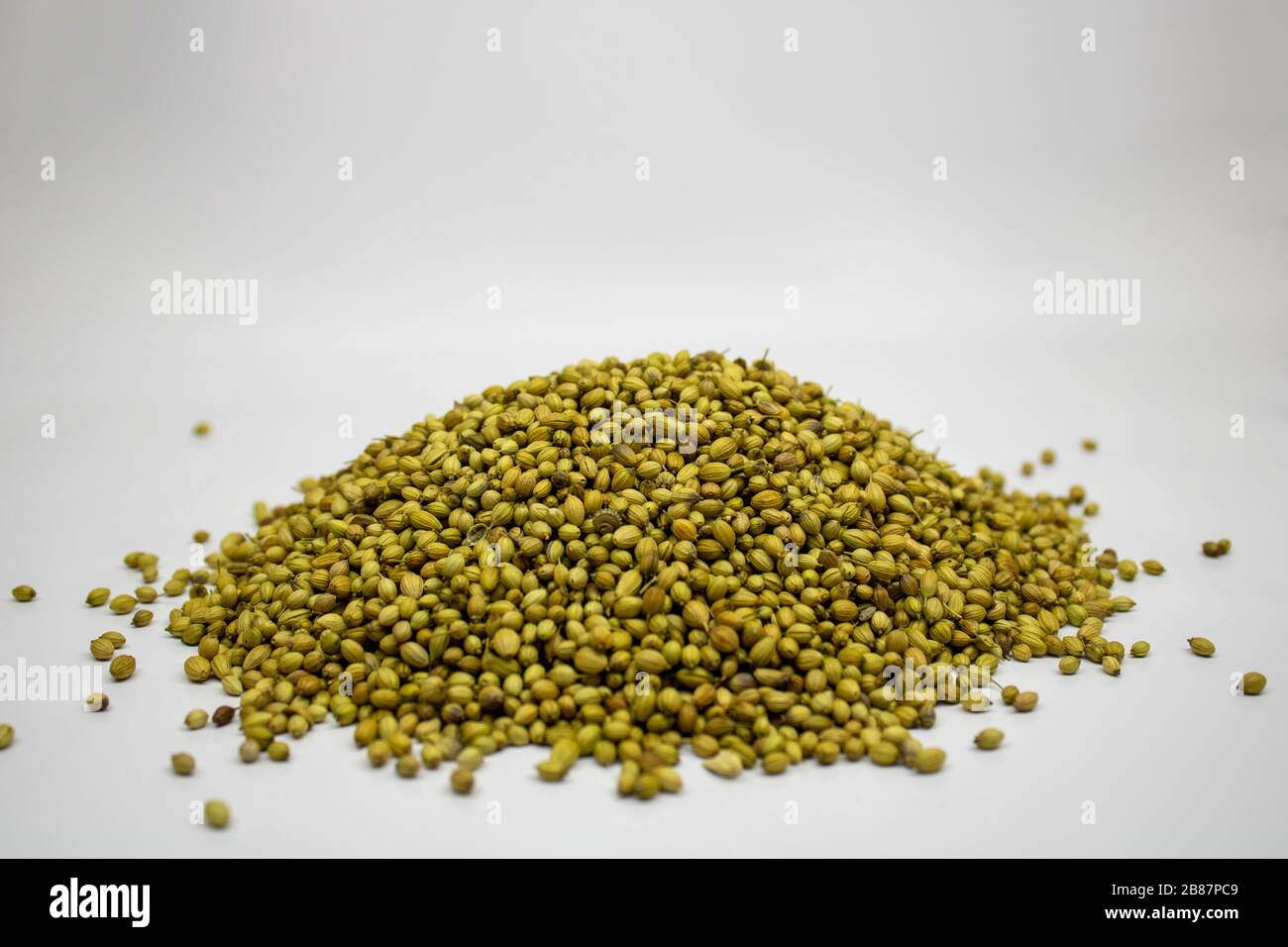 coriander seeds isolated on white background Stock Photo - Alamy