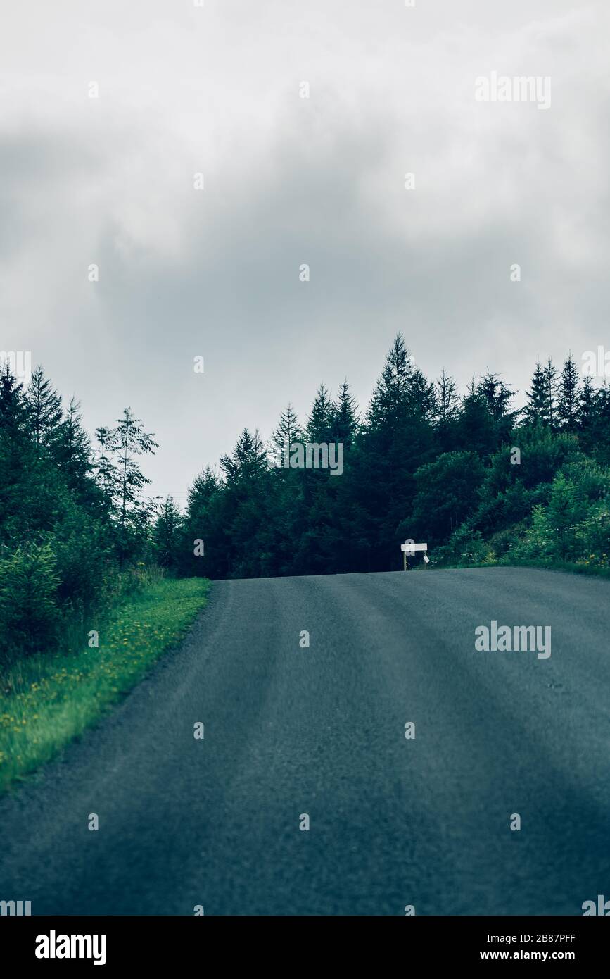 Winding rural road leading through green hills and forest in Scotland ...
