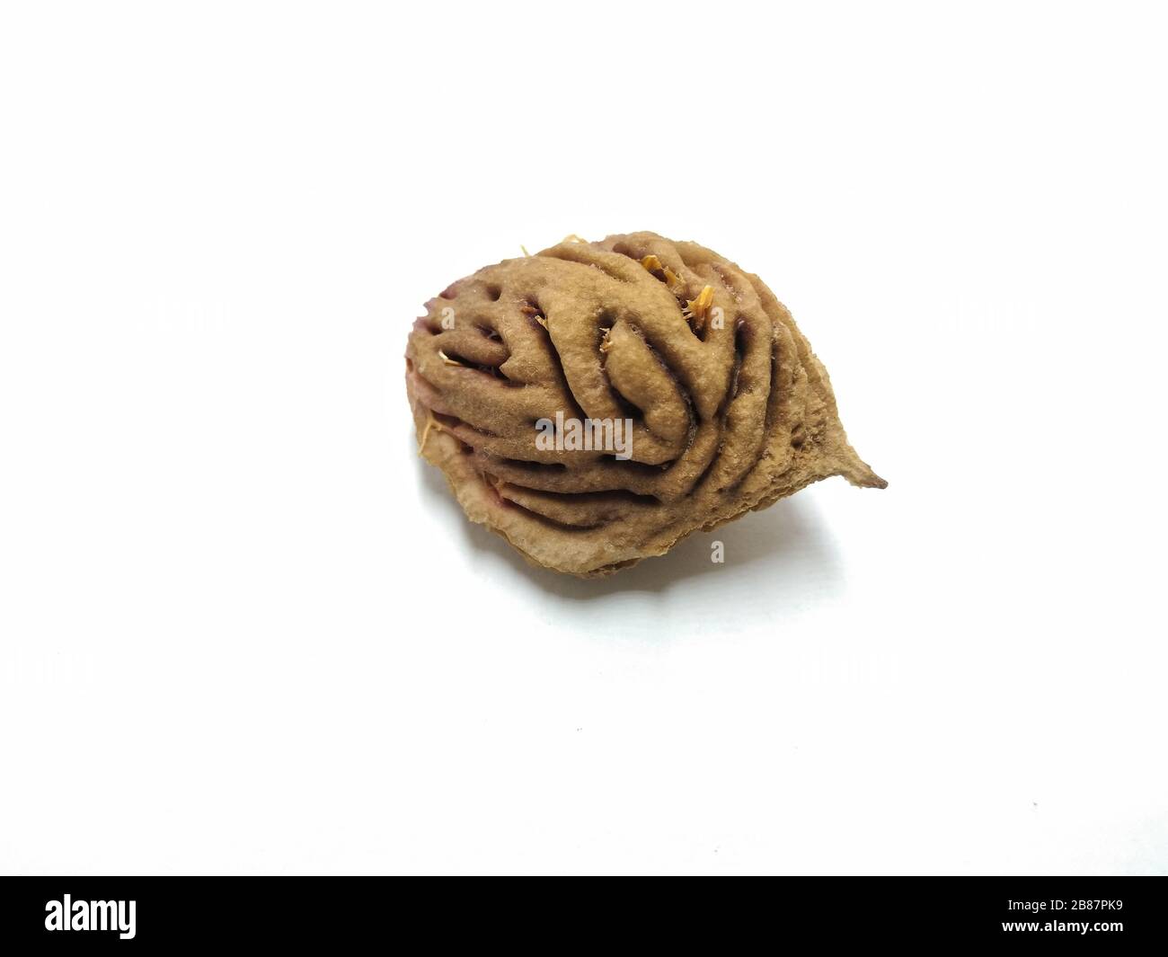 A picture of Peach Seeds Stock Photo - Alamy