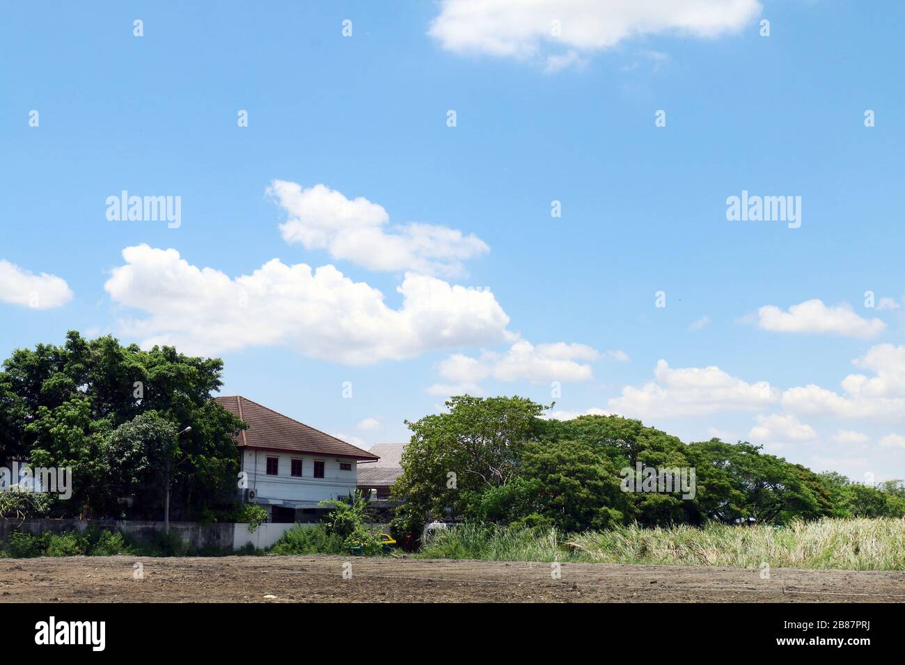 Soil area ground front Houses and tree bottom of picture, Landscape ...