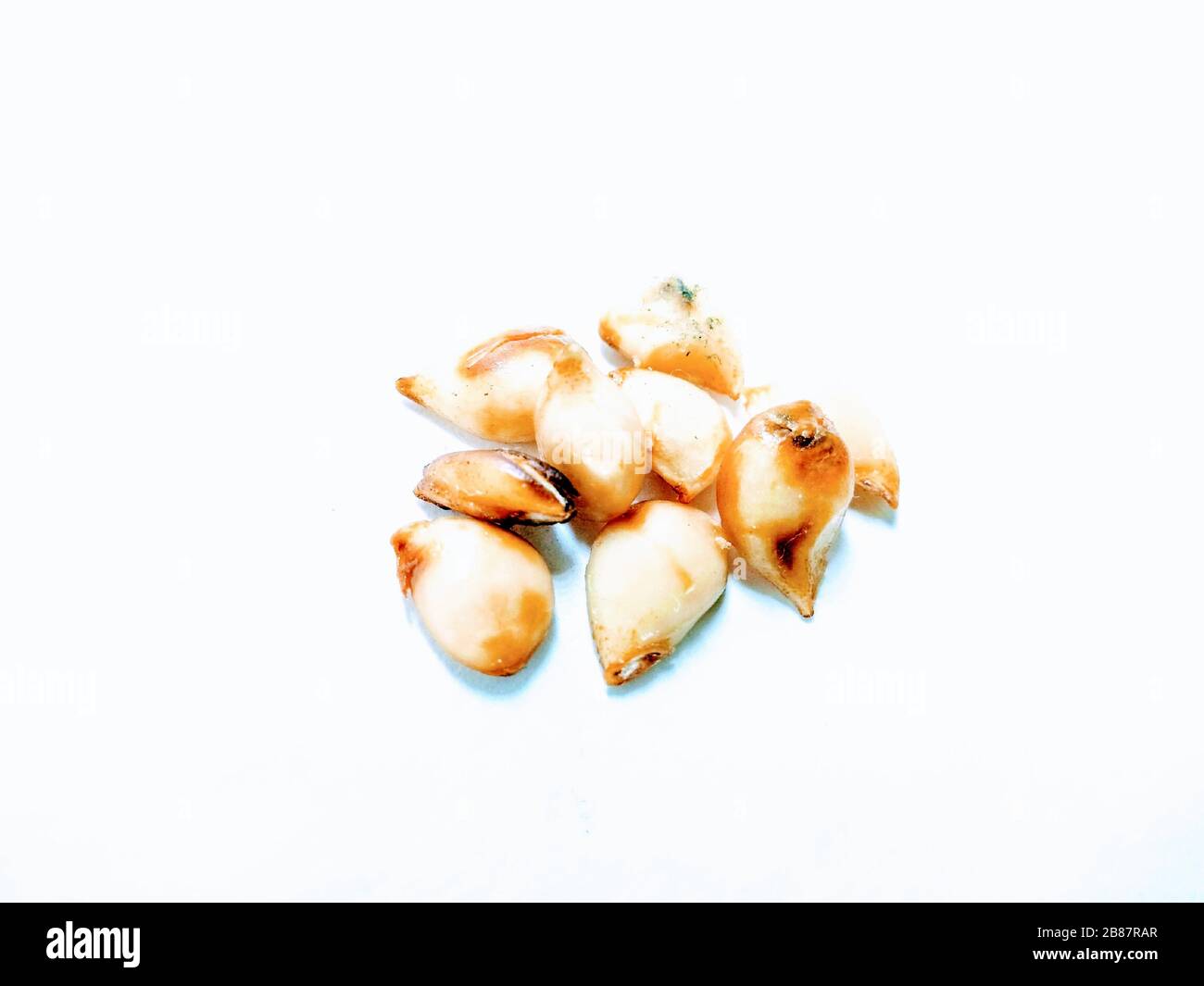 Pear seed hi-res stock photography and images - Alamy