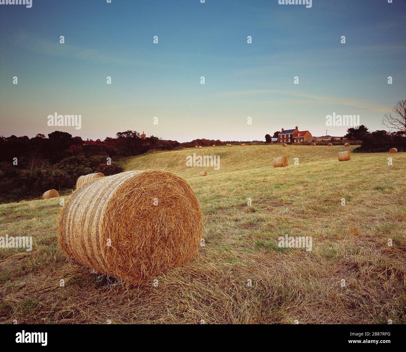 Guernsey farmhouse hi-res stock photography and images - Alamy