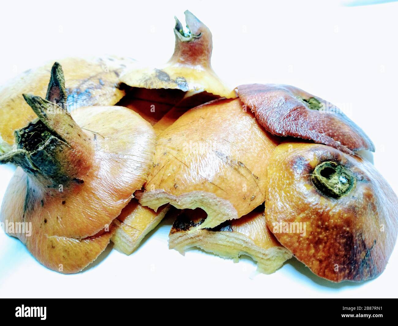 Fruit rinds hi-res stock photography and images - Alamy