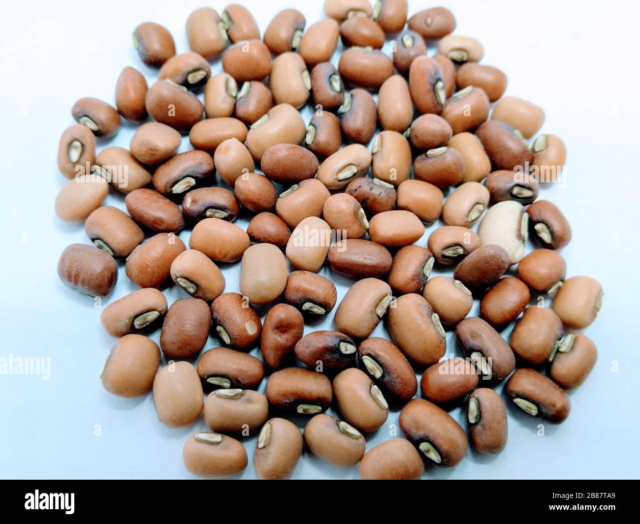 A picture of soybean Stock Photo - Alamy