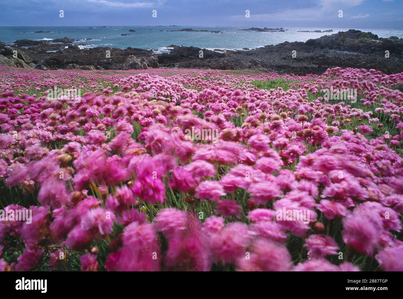 Carpet islands hi-res stock photography and images - Alamy