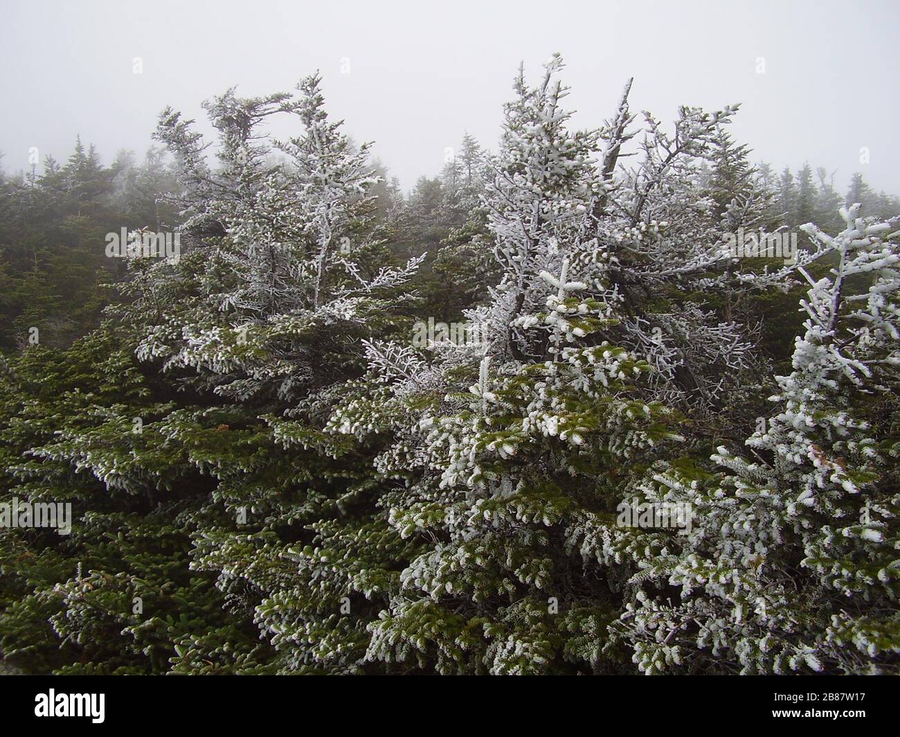 Joe Mount High Resolution Stock Photography and Images - Alamy