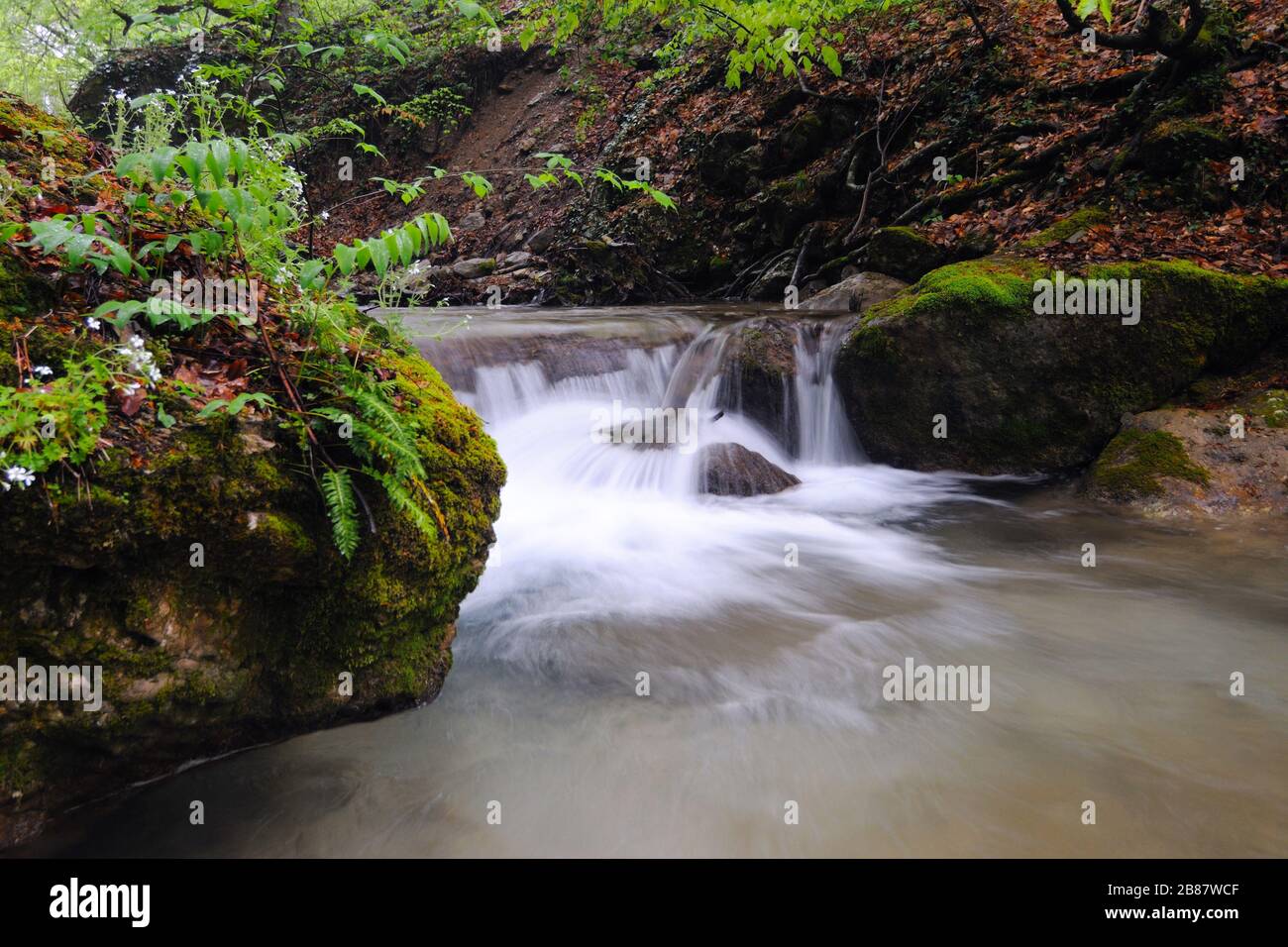 Small stream flows with waterfall and mossy stones around. Fallen tree ...
