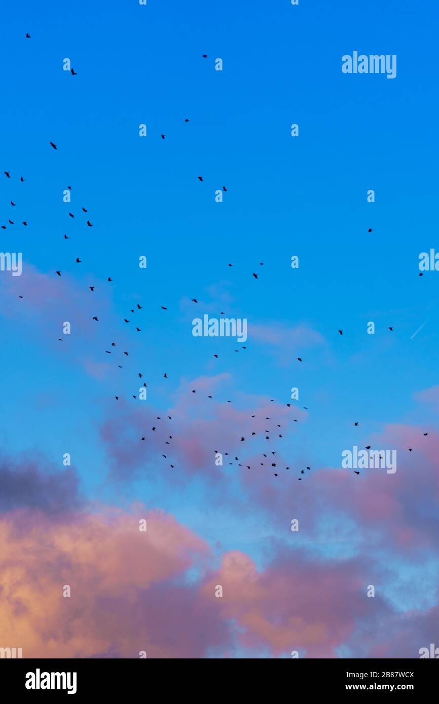 Look dramatic hi-res stock photography and images - Alamy