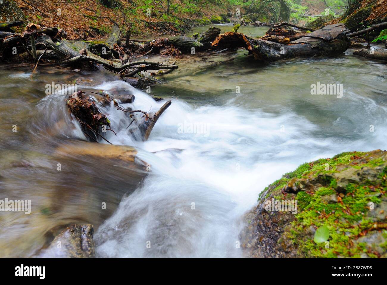 Small stream flows with waterfall and mossy stones around. Fallen tree ...