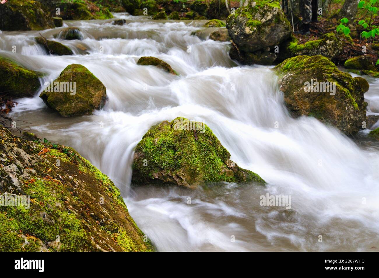 Small stream flows with waterfall and mossy stones around. Fallen tree ...