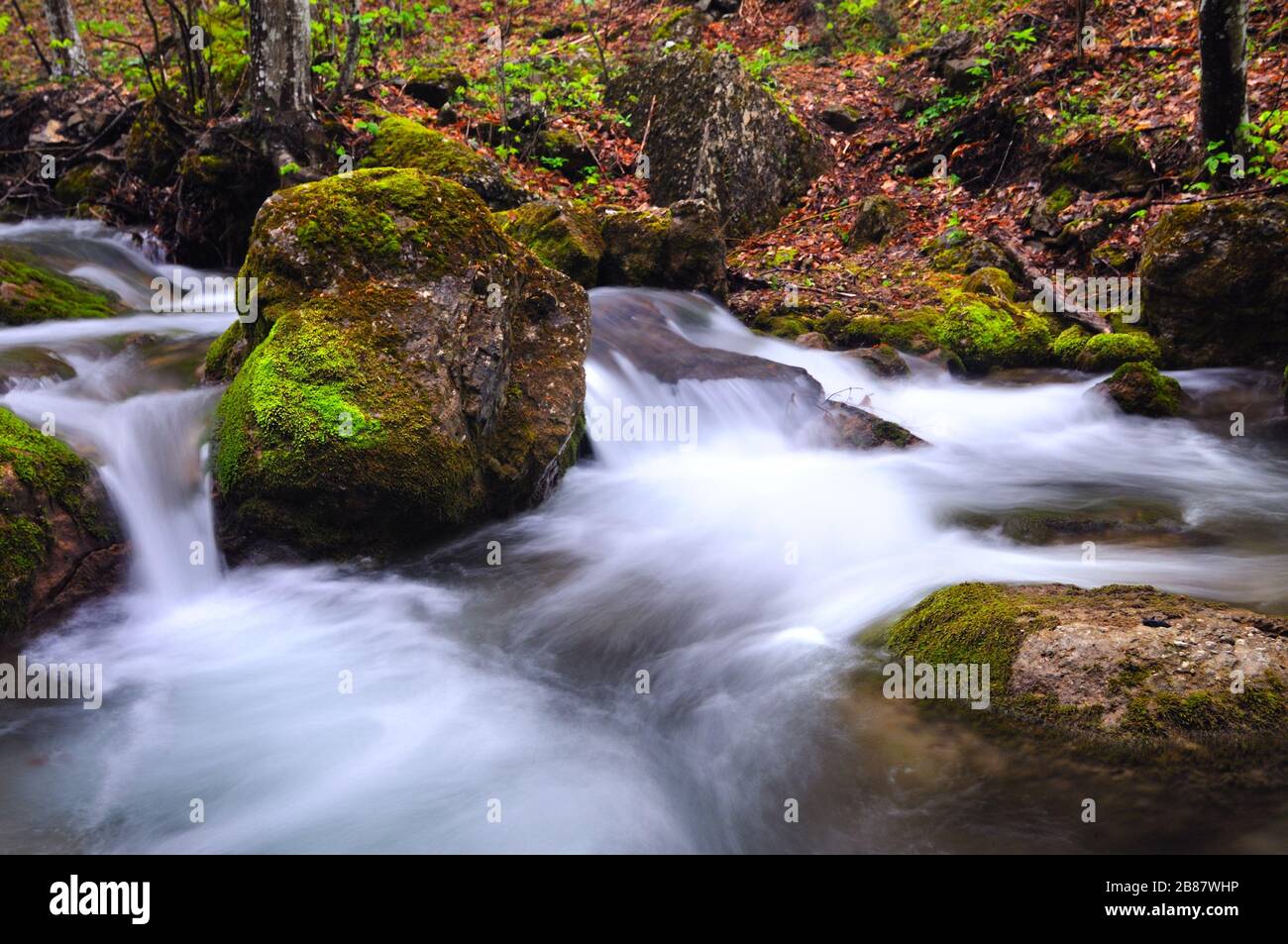 Small stream flows with waterfall and mossy stones around. Fallen tree ...