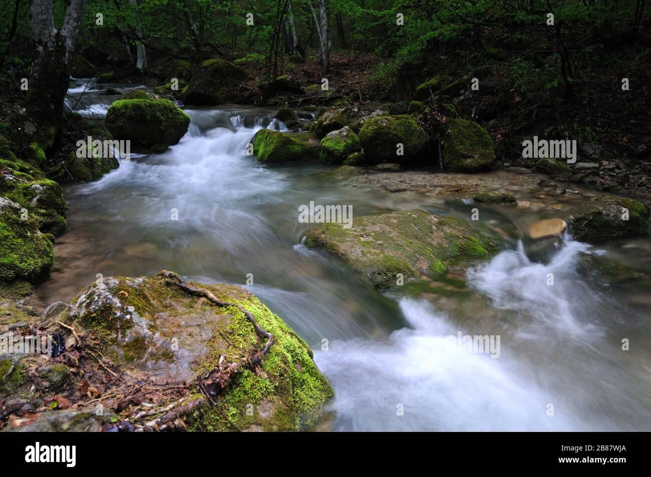 Small stream flows with waterfall and mossy stones around. Fallen tree ...